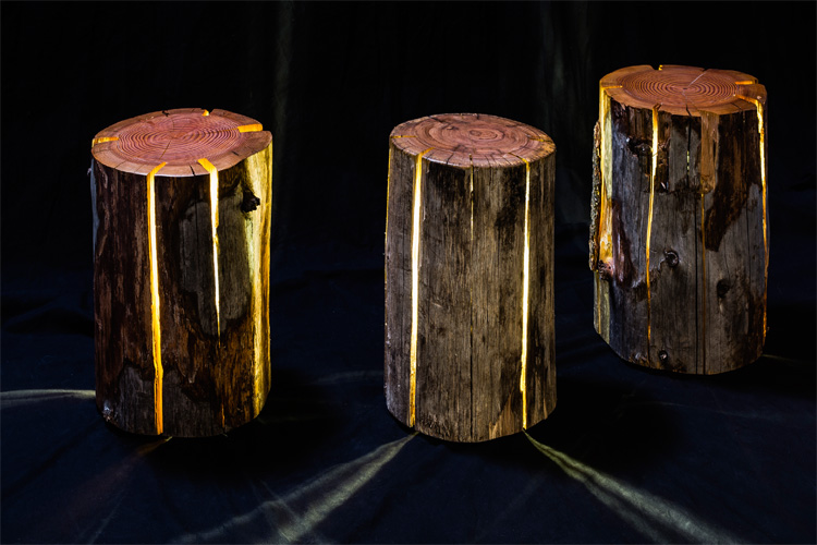 Leuchtende Baumstümpfe und florale Licht-Propeller: ON-LIGHT · Licht im ...