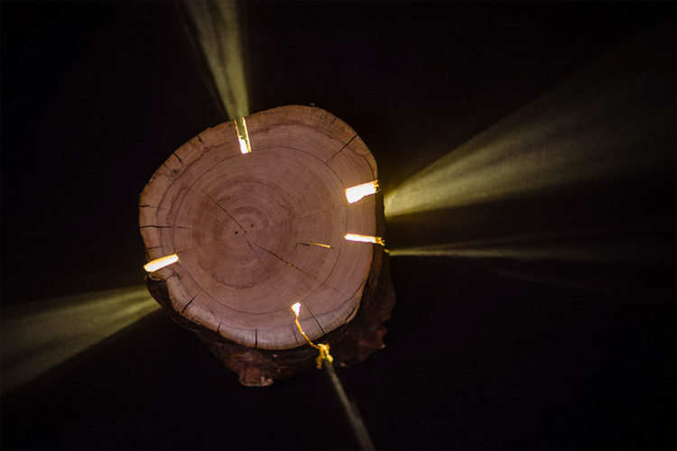 Leuchtende Baumstümpfe und florale Licht-Propeller: ON-LIGHT · Licht im ...